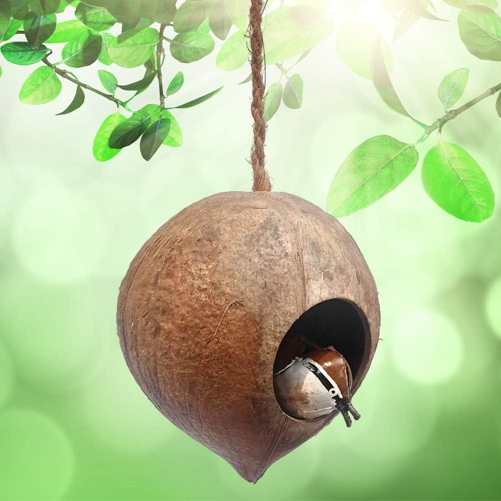VIE Naturals Coconut Nest | Buy Now with Express International Delivery ...