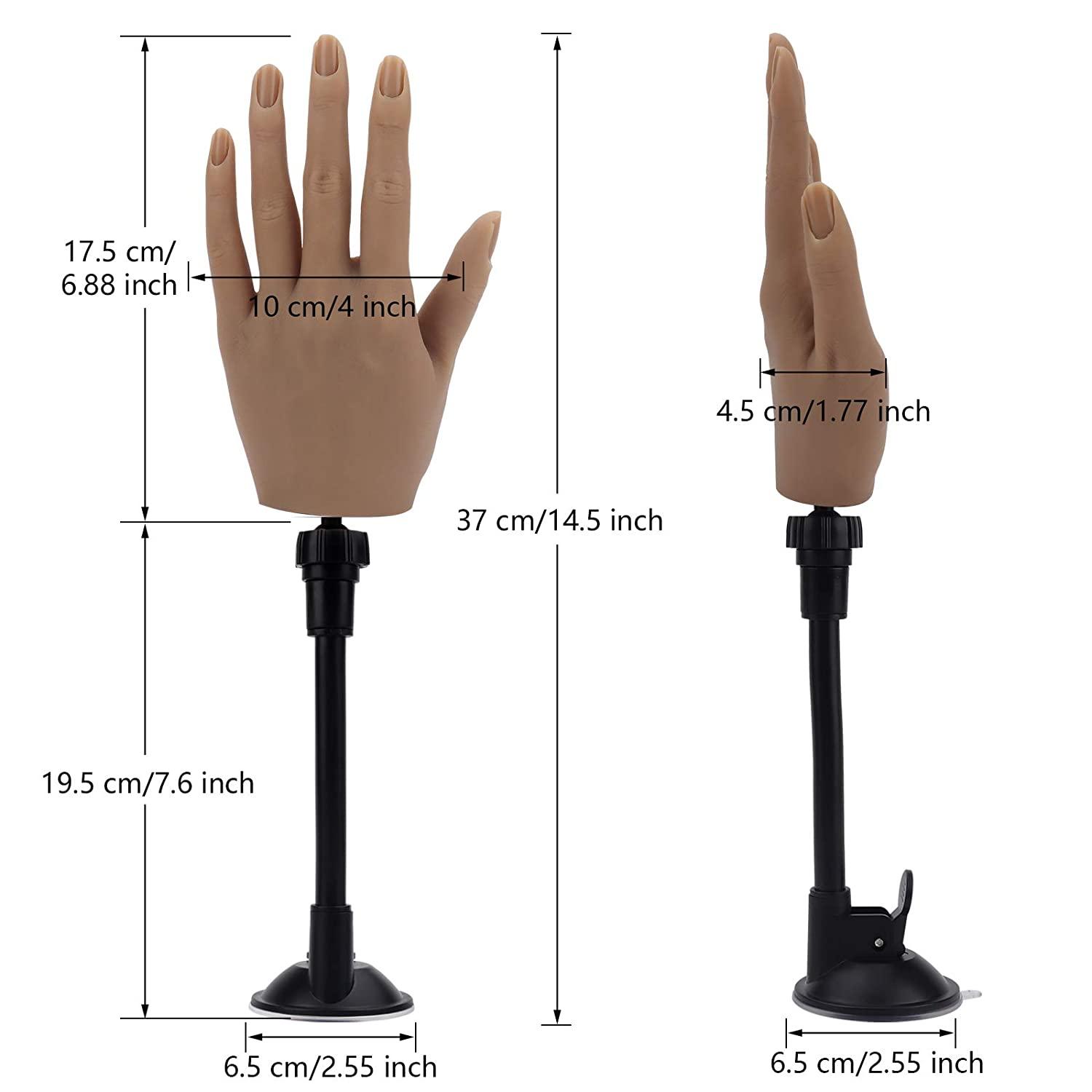 Silicone Practice Hand with Bracket - Realistic, Flexible, Left Hand ...