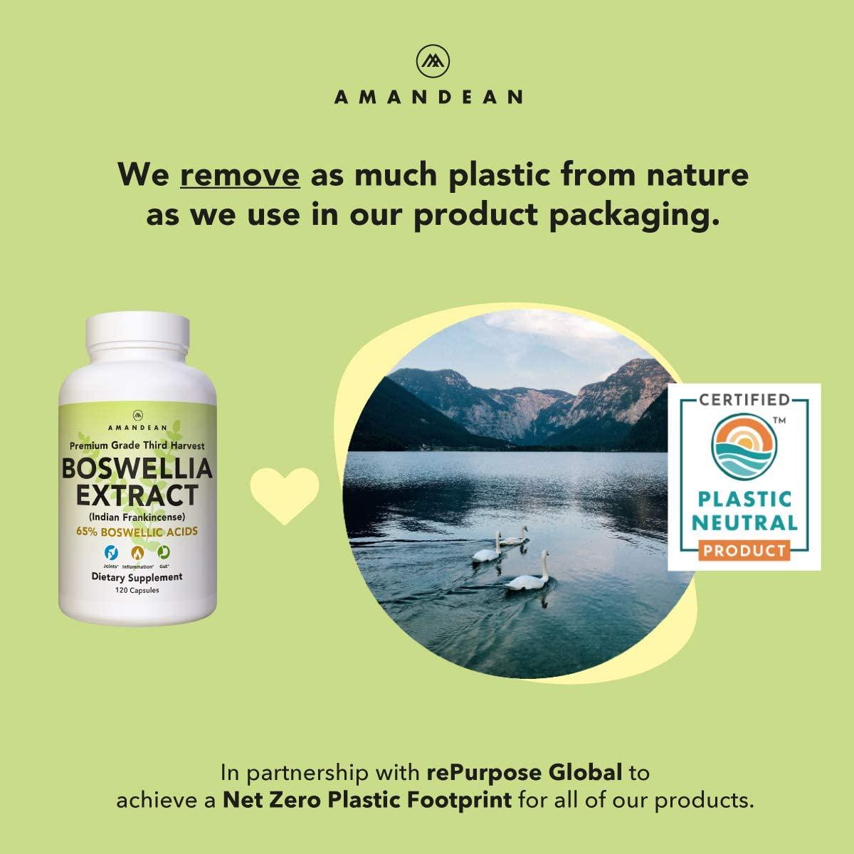 Amandean Boswellia Serrata Extract 500mg - 120 Veggie Capsules ...