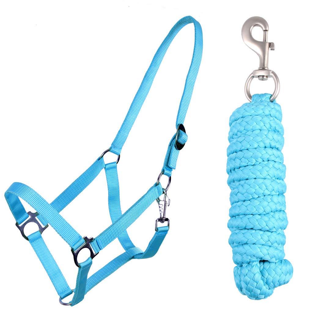 QHP Halter Set for Shetland Ponies - Beginner Halter & Lead Rope with ...