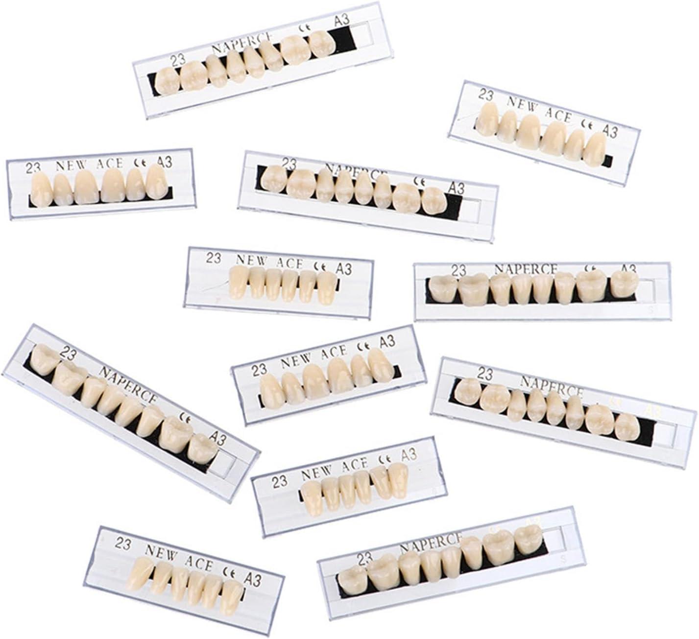 Buy MTTXY 168pcs Resin Dentures - 3 Sets Artificial Teeth 23 A3 Upper ...