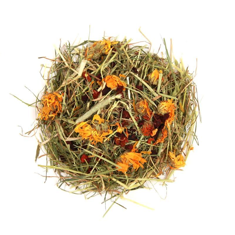 Timothy Rich 5 a day hay 1000g x 5 | Buy Now with Express International ...