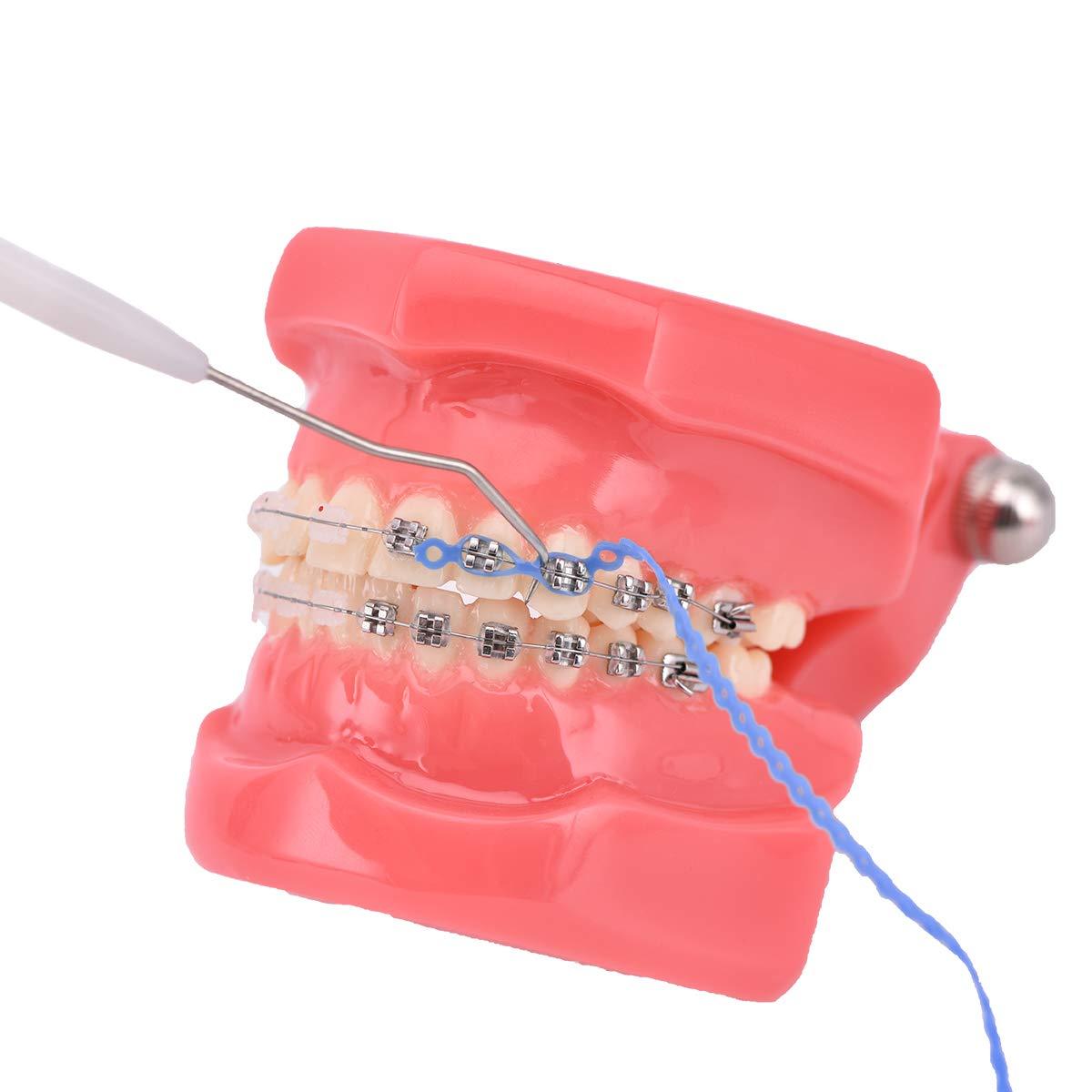 Teeth Power Chains Spool - Elastic Brace Rubber Bands for Orthodontic ...