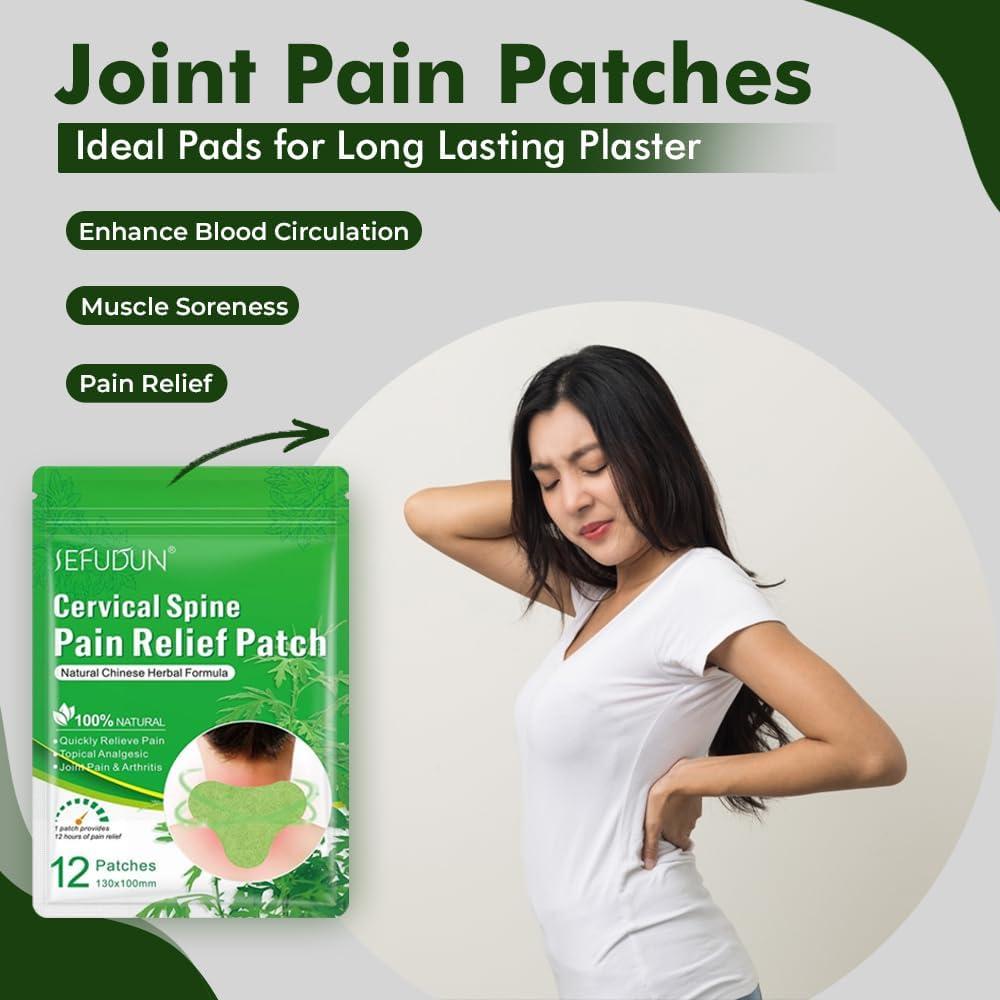 GARNET Neck Pain Relief Patches 12pcs - Herbal Cervical Shoulder ...