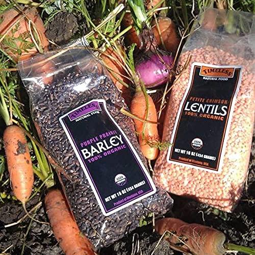 TIMELESS Organic Semi Pearled Purple Prairie Barley 16 OZ - Premium ...