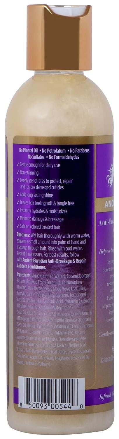 The Mane Choice Ancient Egyptian Anti-Breakage Shampoo 8 Fl Oz - Pack ...