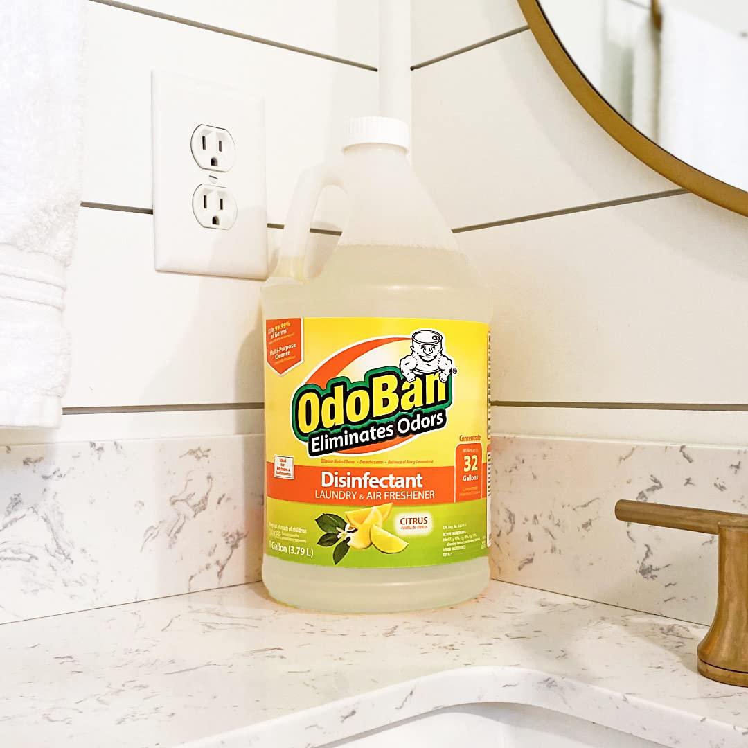 OdoBan Ready-to-Use Disinfectant and Odor Eliminator, Set of 2, 32 oz ...