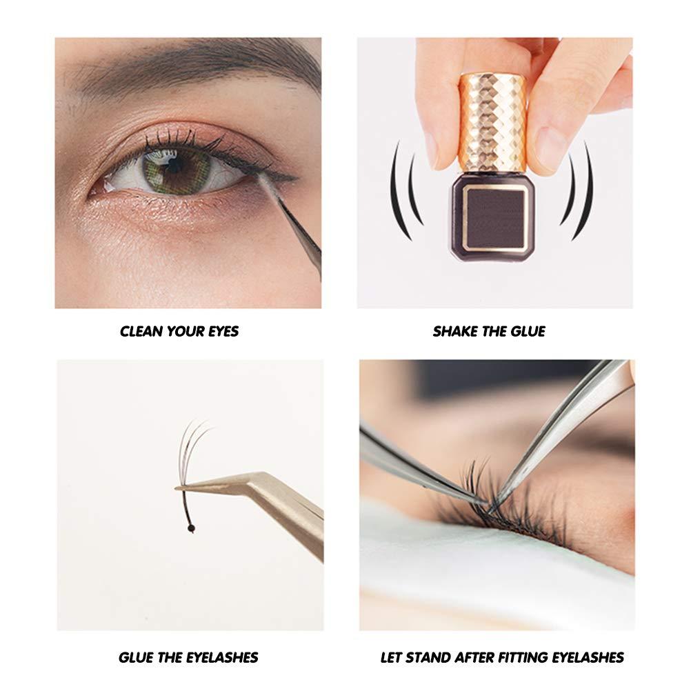 Shop 3D Eyelash Extensions - Premium Mix Fans & Finished Compartments ...