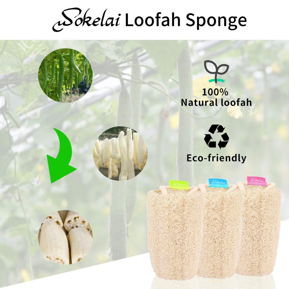 Natural Exfoliating Loofah Sponge - Eco-Friendly Organic Body Scrubber ...