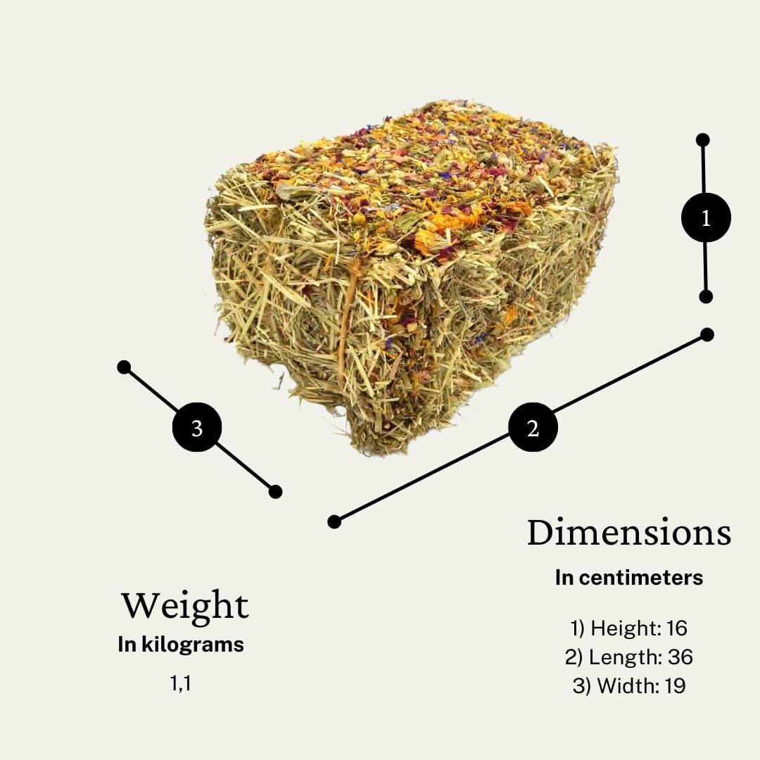 Springtime Forage Infused Baby Hay Bale for Rabbits and Guinea Pigs ...