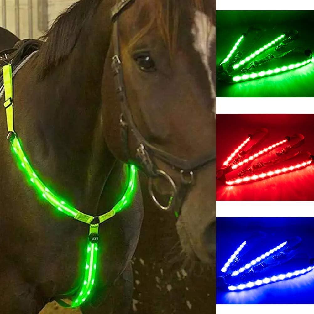 Bweele LED Horse Harness - Illuminated Chest Strap for Equestrian ...