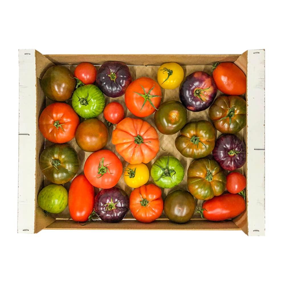 Spanish Gourmet Tomatoes +/-3kg | Buy Now with Express International ...