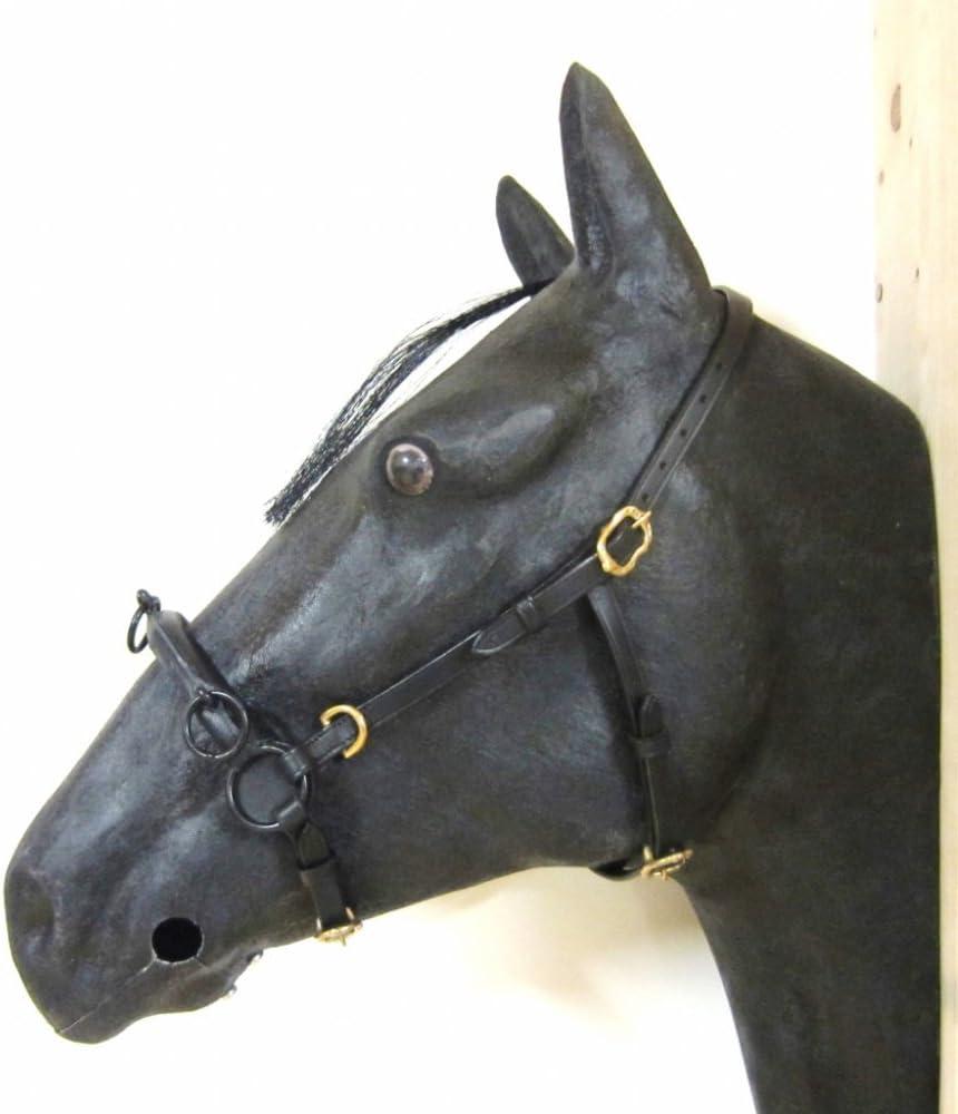 Buy PS Horse French Cavesson Cavecon with D-Rings - Soft Full Size ...