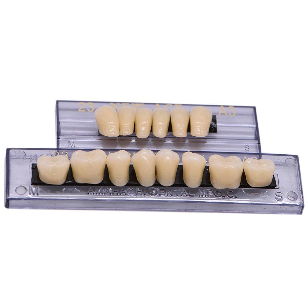 Angzhili Dental Synthetic Acrylic Resin False Teeth Halloween Horror ...