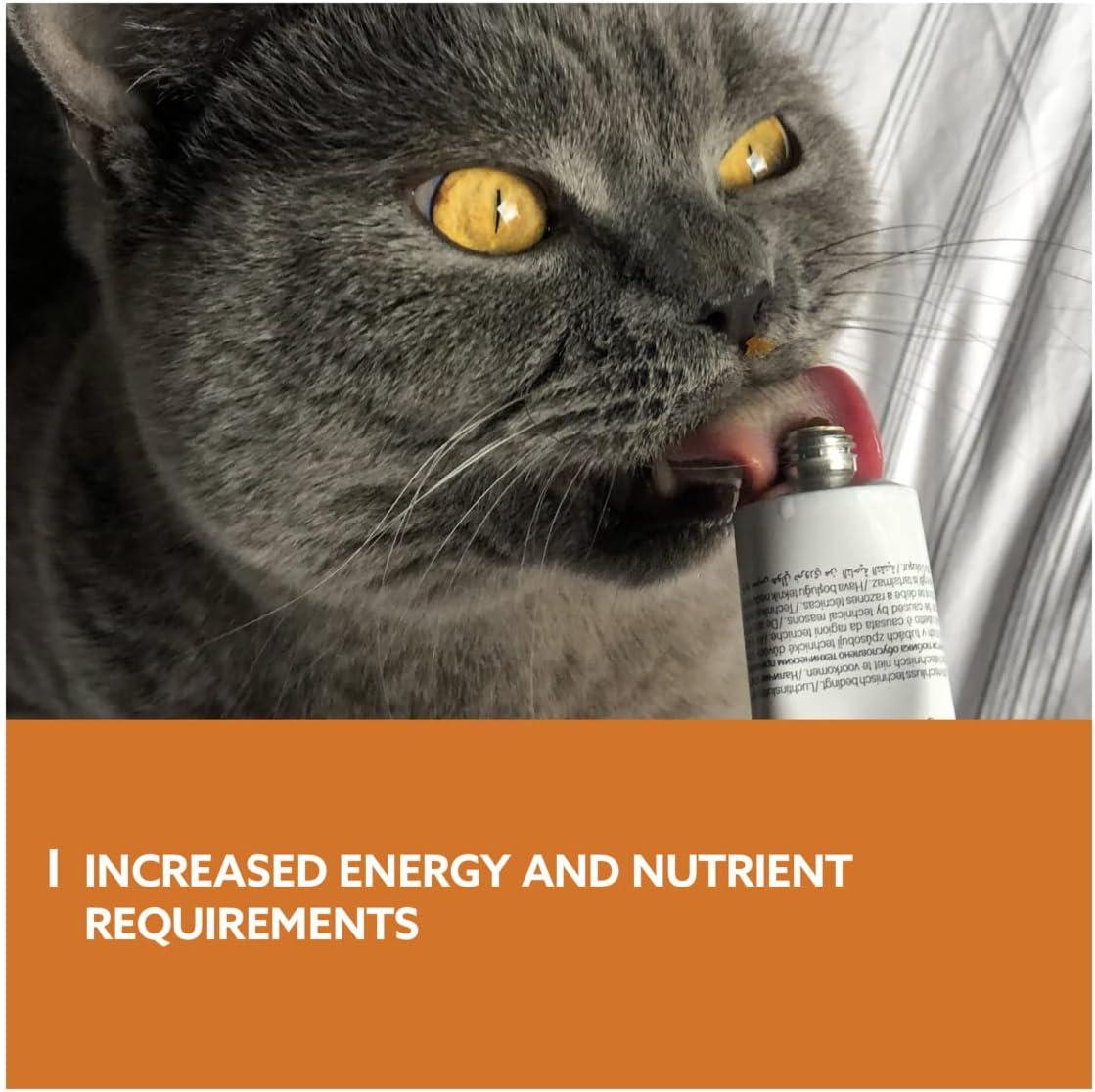 GimCat EXPERT LINE Energy Paste for Cats - Nutrient-Rich Snack for ...
