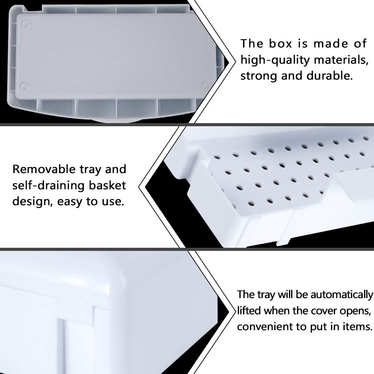 Gusnilo Sanitizing Tray - Nail Tool Sterilizer Box for Salon & Spa ...