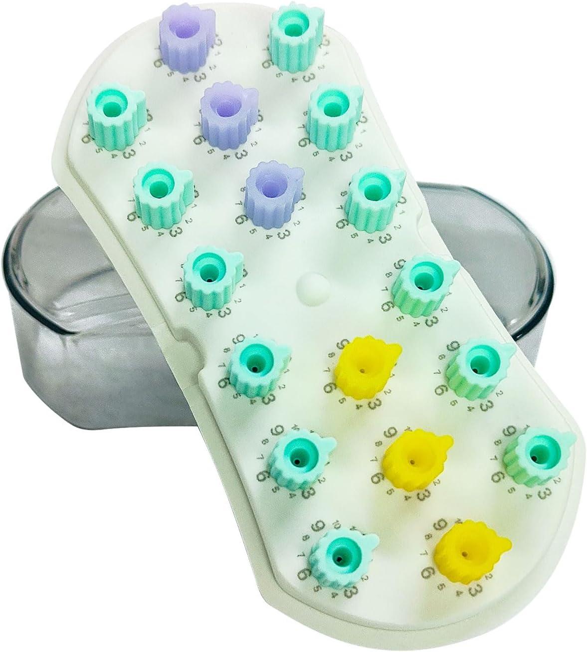 WindPlusya Endo-File Holder Autoclavable Dental Organizer with 18 Holes ...