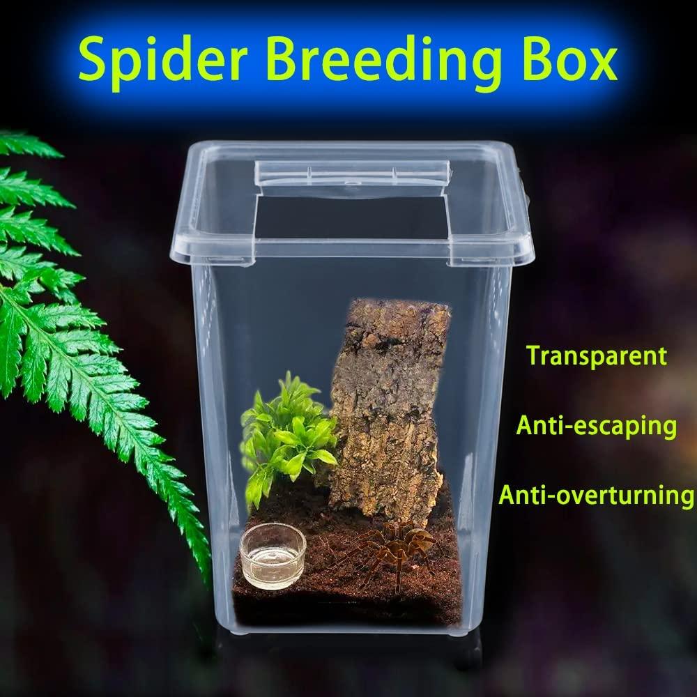 4-Piece Acrylic Insect Breeders Box for Spider, Mantis, Scorpion ...