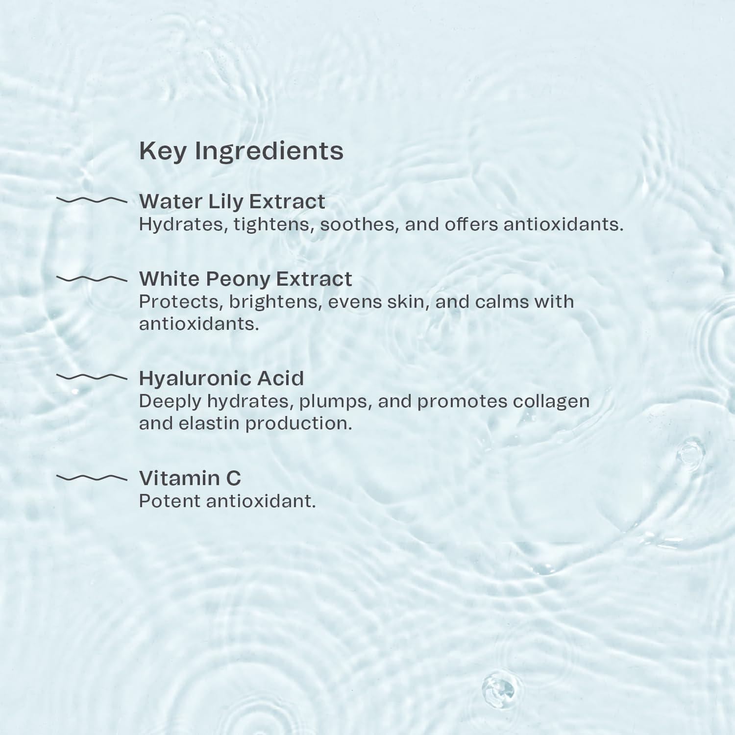 Antioxidant Hydrating Face Mist - Hyaluronic Acid & Vitamin C - Makeup ...