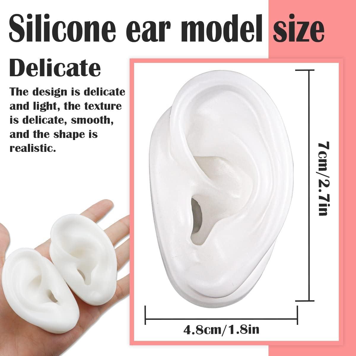 Large Silicone Ear Model for Acupuncture Practice and Jewelry Display ...