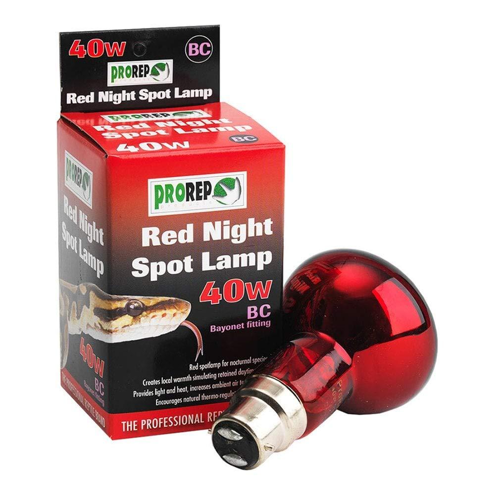 ProRep BC Spot Lamp 40 Watt Red Night 1 Count (Pack of 1) | Buy Now ...