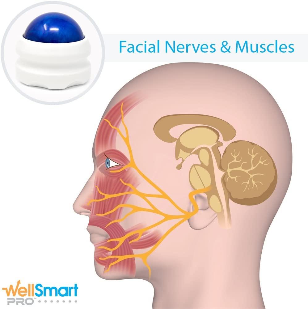 Bells Palsy Massager Set: Natural Treatment for Facial Paralysis, Relieves Inflammation ...