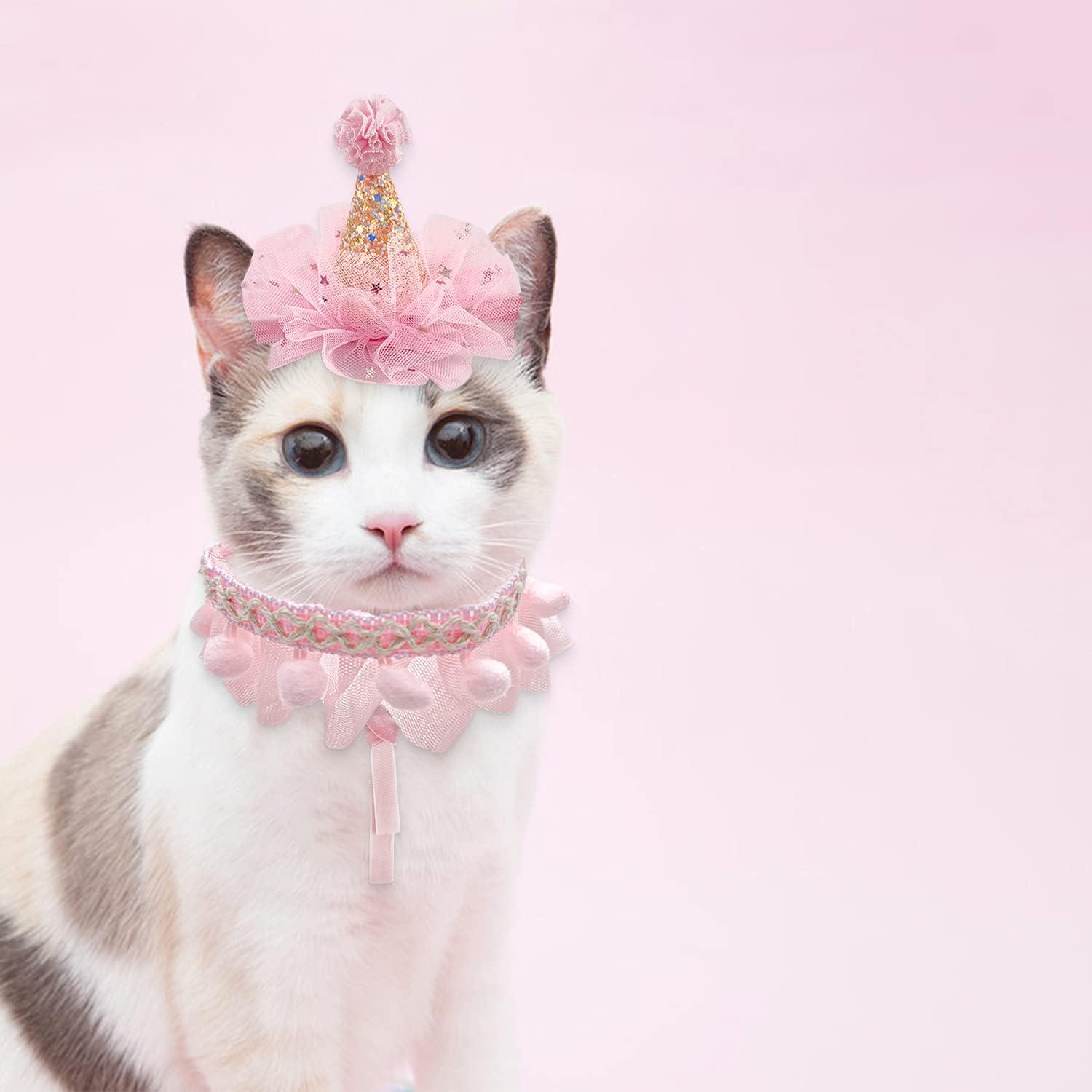 RUKUHOT Birthday Hat Scarf Set for Pet Puppy Cat - Princess Costume for ...