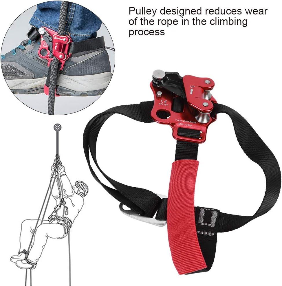 Jeanoko 7075 Aviation Aluminum Climbing Swimming Clamp - Adjustable ...