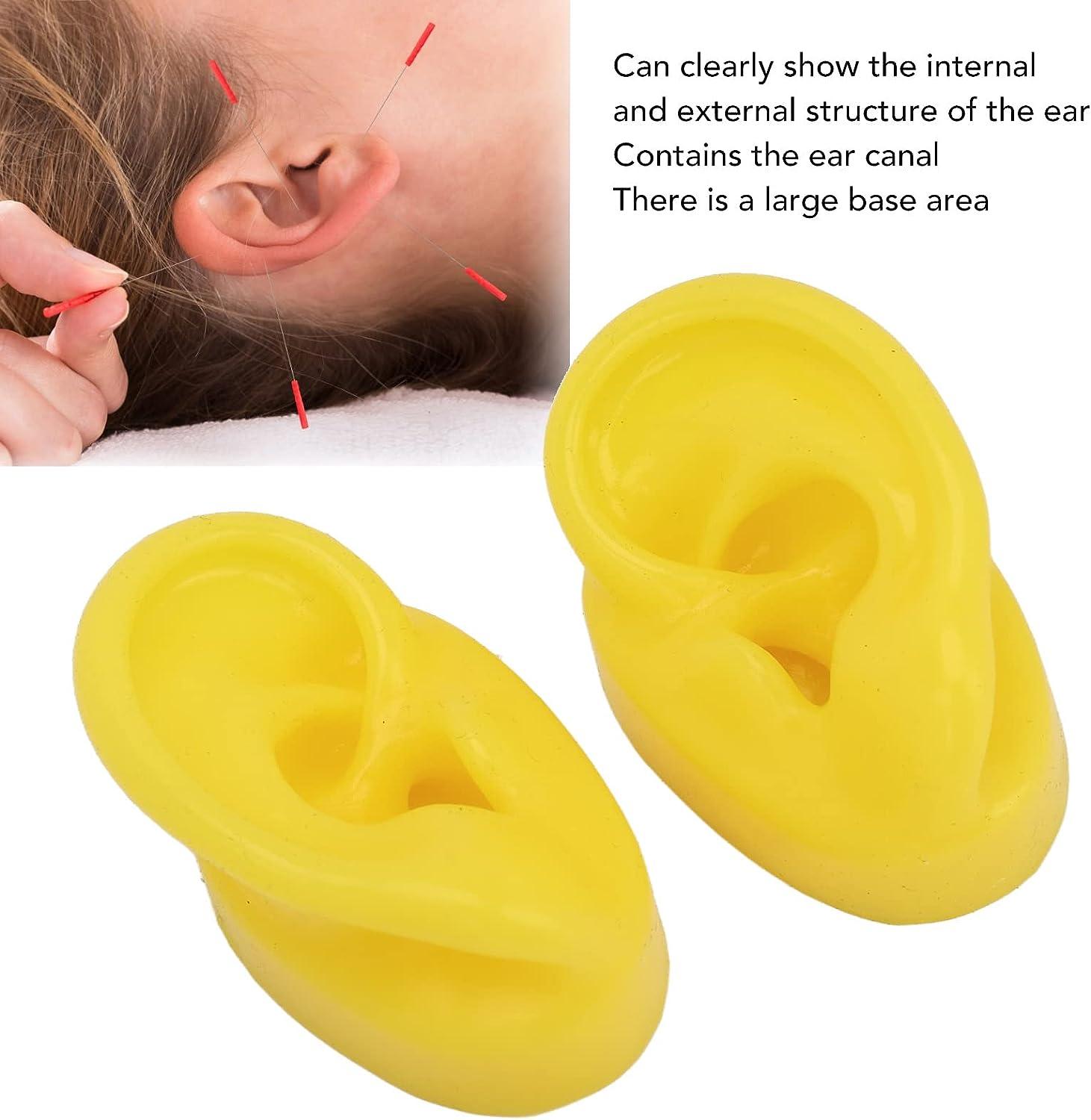 Soft Silicone Human Ear Model - 1 Pair Yellow Waterproof Displays for ...