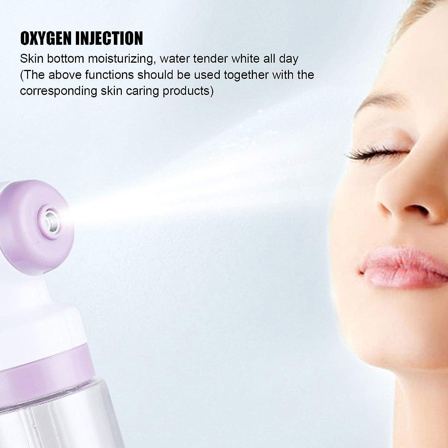 Portable Electric Mini Spray Gun Atomizer - Rechargeable Handheld Mist ...