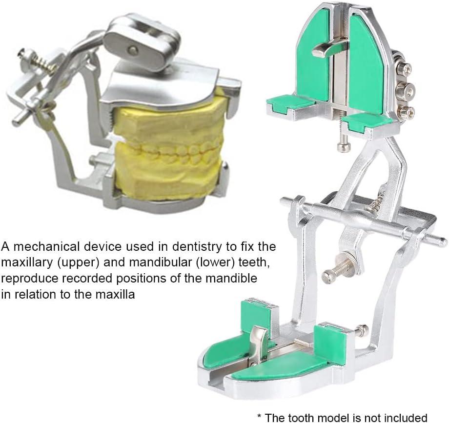 Adjustable Mechanical Articulator for Dental Labs | High-Quality ...