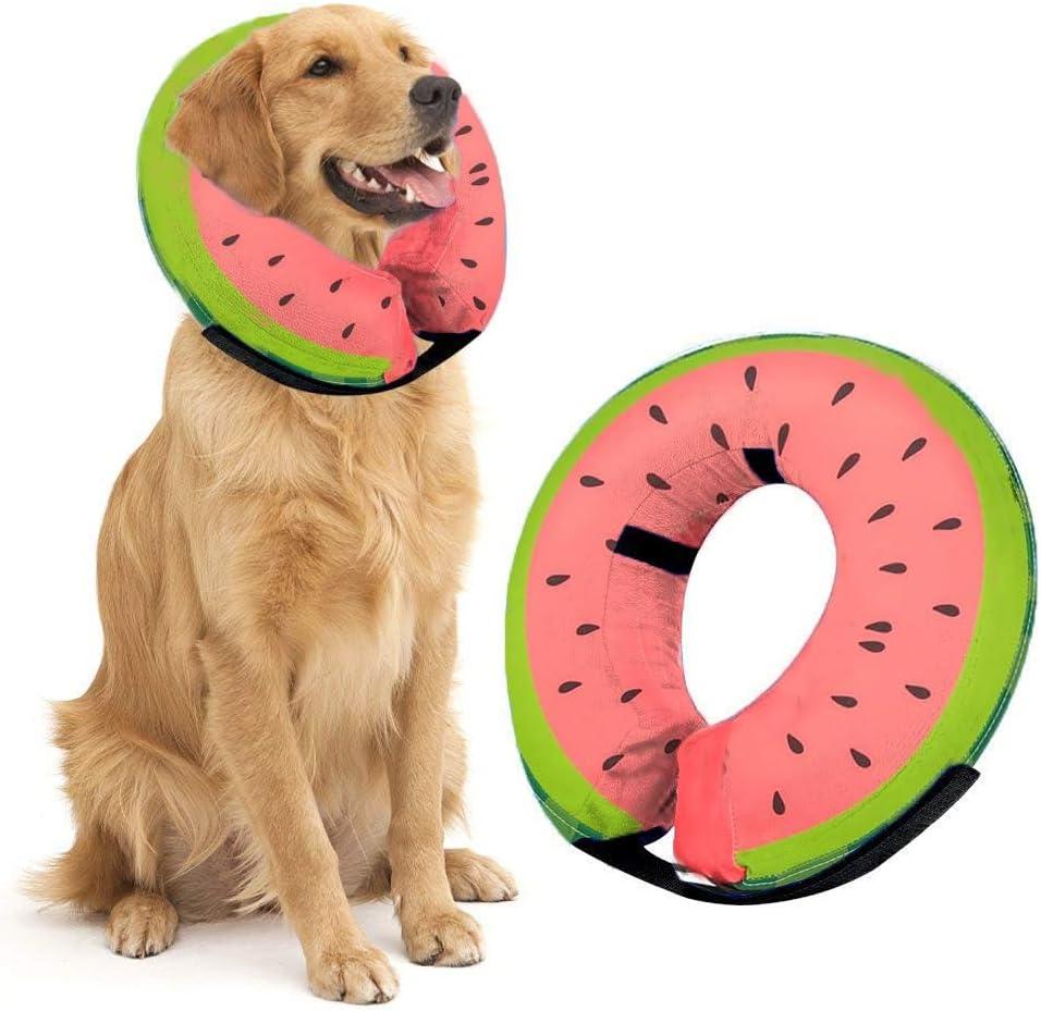 Ducomi Inflatable Dog & Cat Hinges - Comfortable Recovery & Freedom of ...
