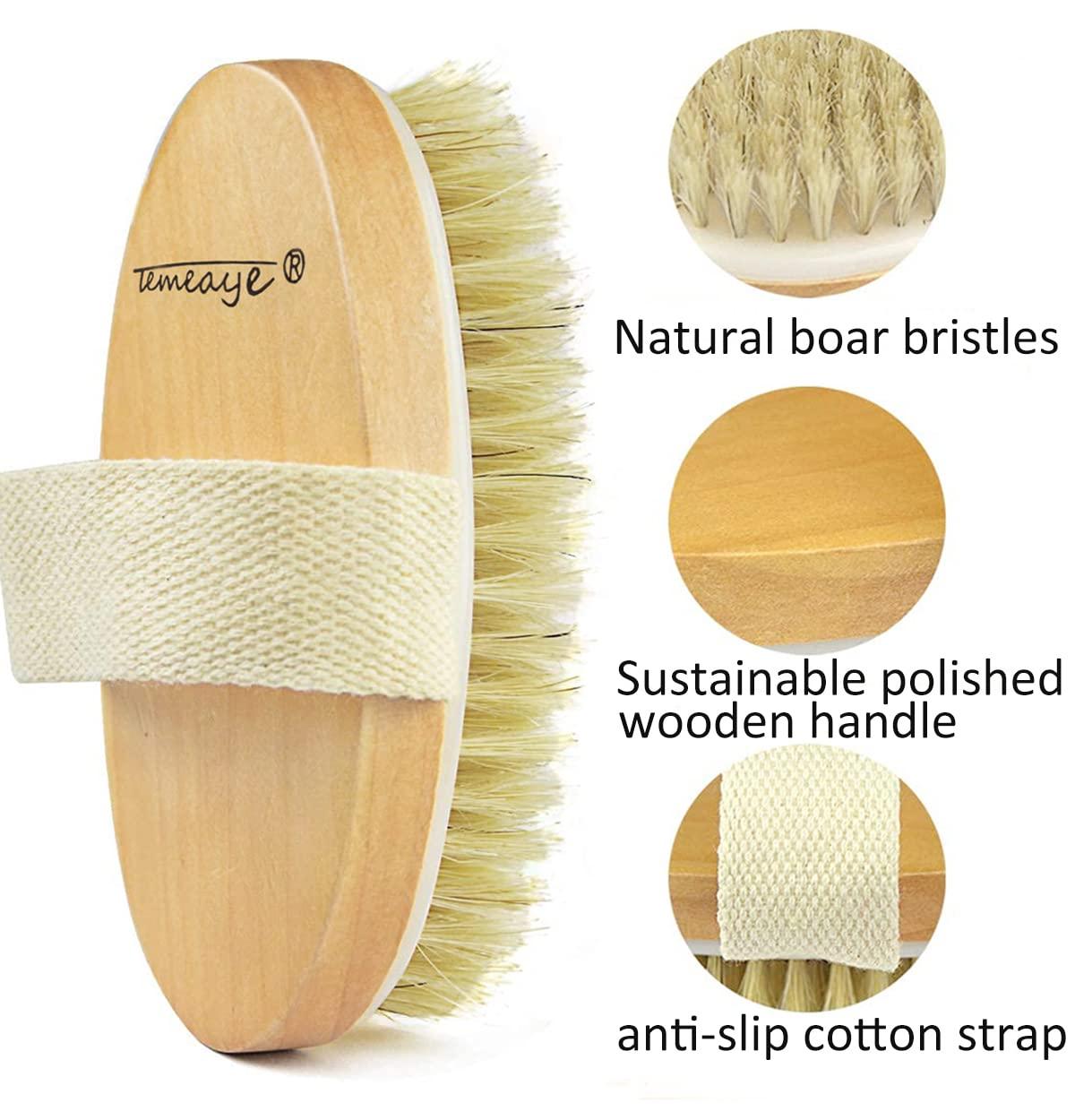 Natural Bristle Dry Brush for Skin Massage and Exfoliation | Lymphatic ...