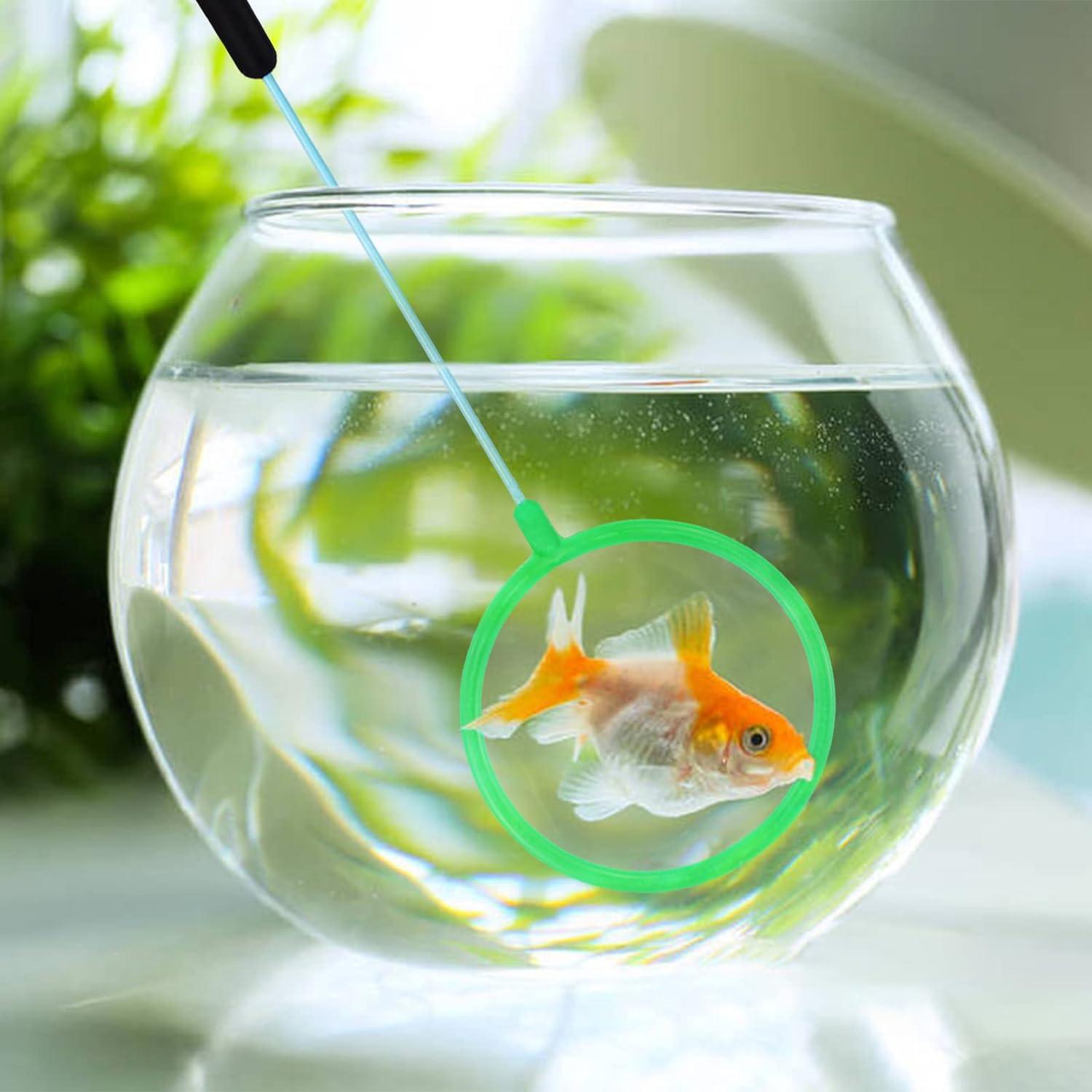 Brine Shrimp Net Small Aquarium Fish Net Shrimp Separation Net for ...