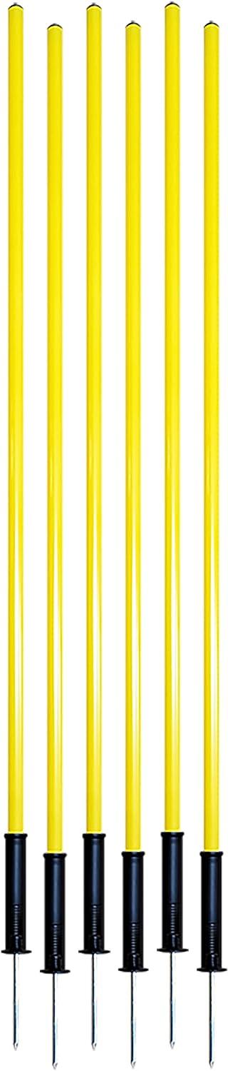 American Challenge Portable Coaching Poles - Spring Base | Buy Now ...
