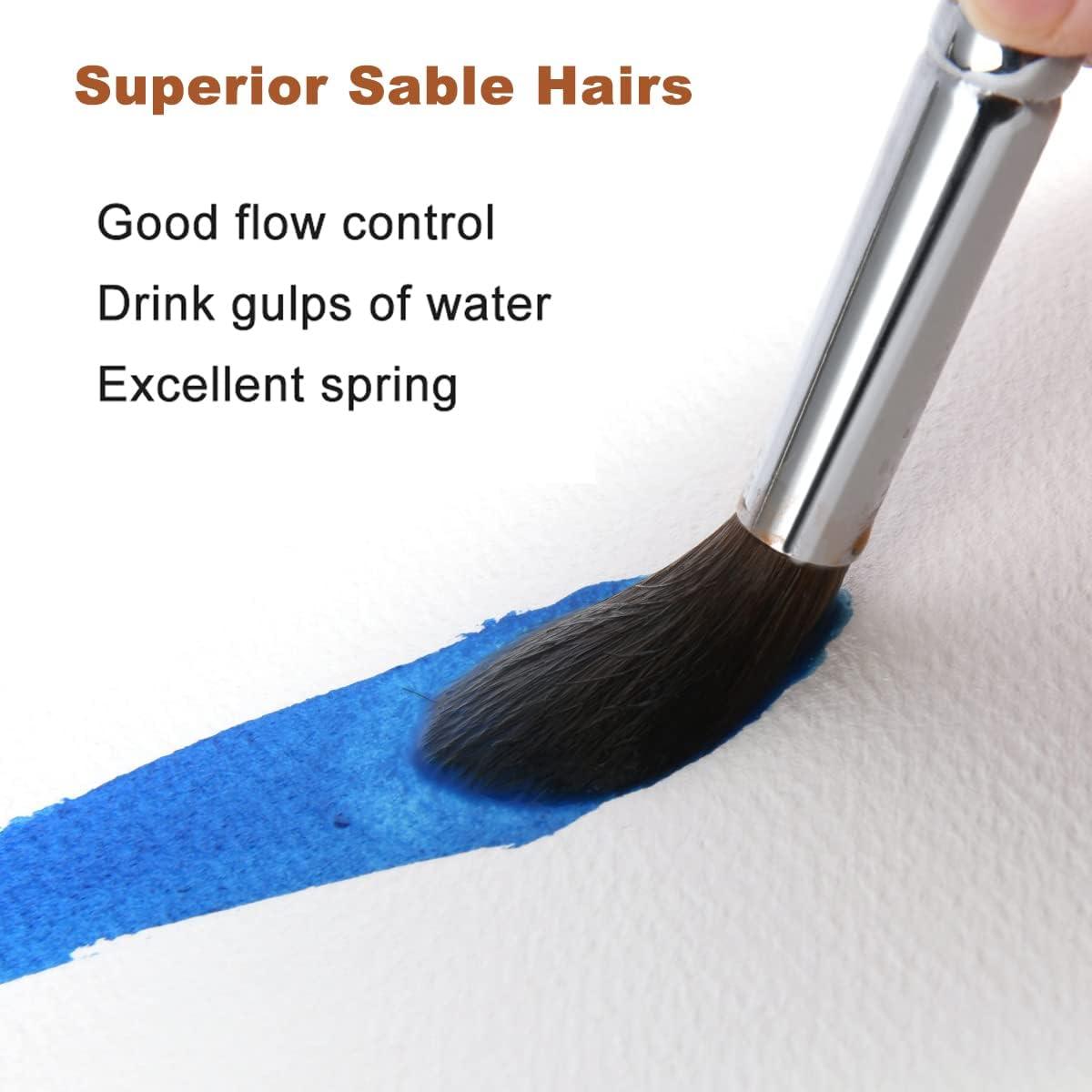 Sable Watercolor Brushes Professional Fuumuui 8Pcs Kolinsky Sable Brush ...