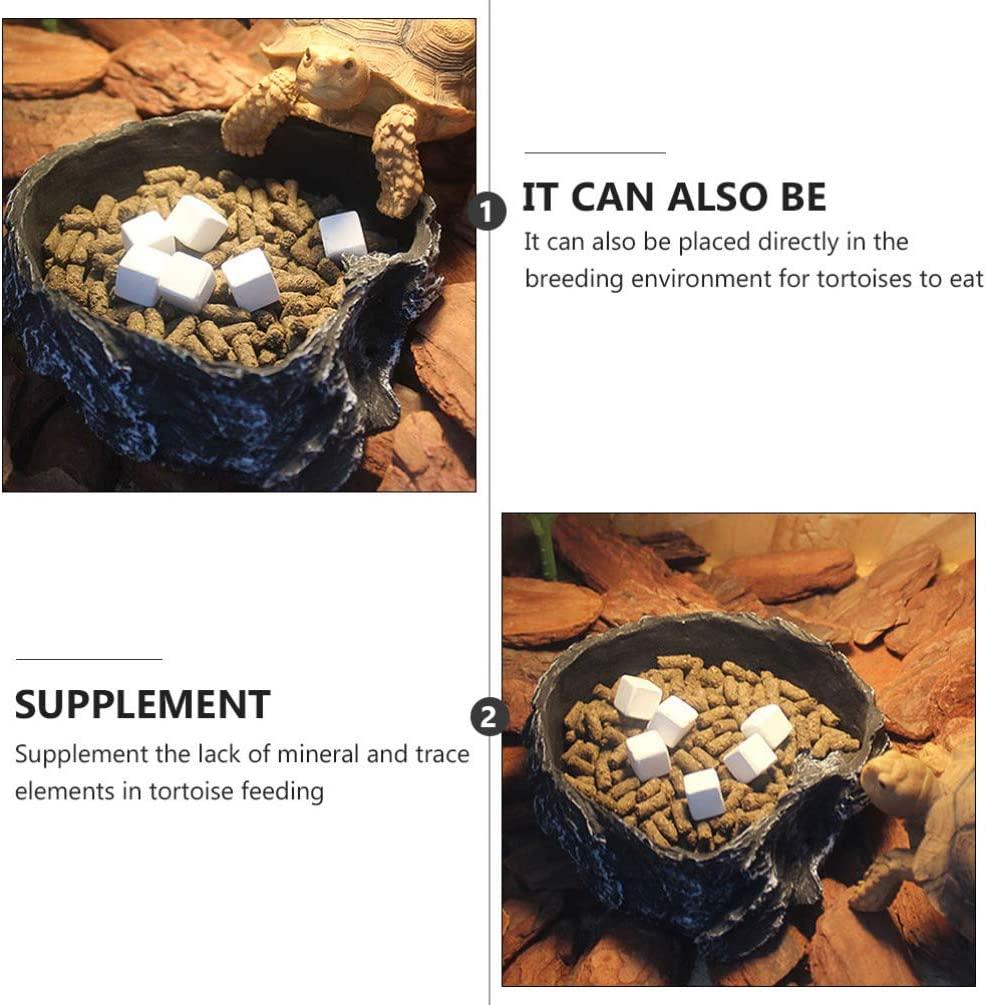 POPETPOP 12pcs Fish Tank Calcium Stone | Natural Calcium Mineral for ...