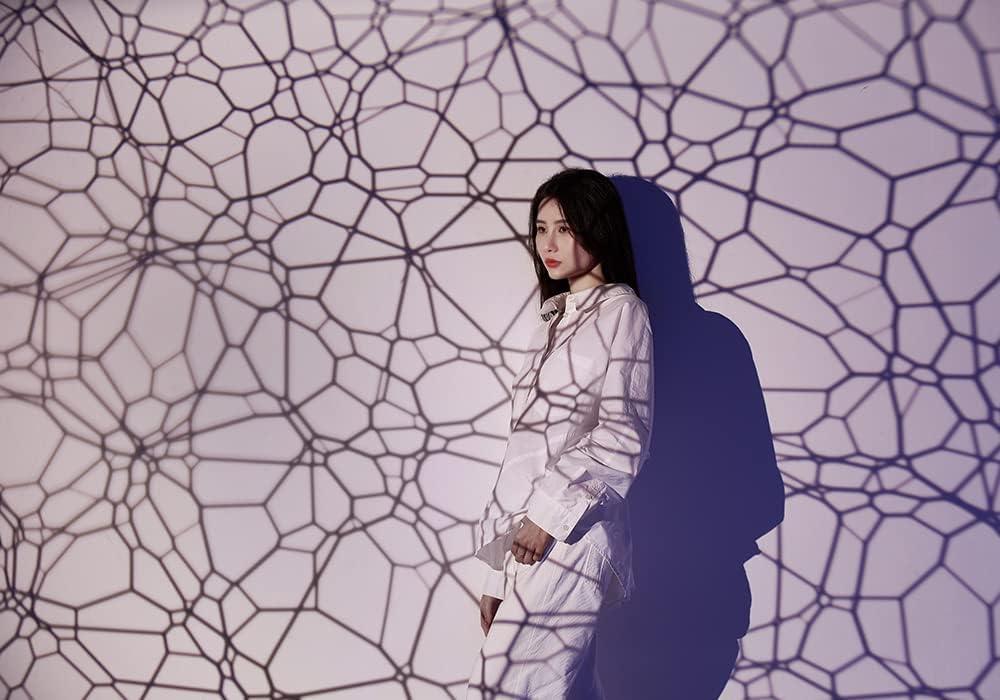 Godox AK-S Full Slide Set for Projector Flash - Optical Spotter GOBO ...