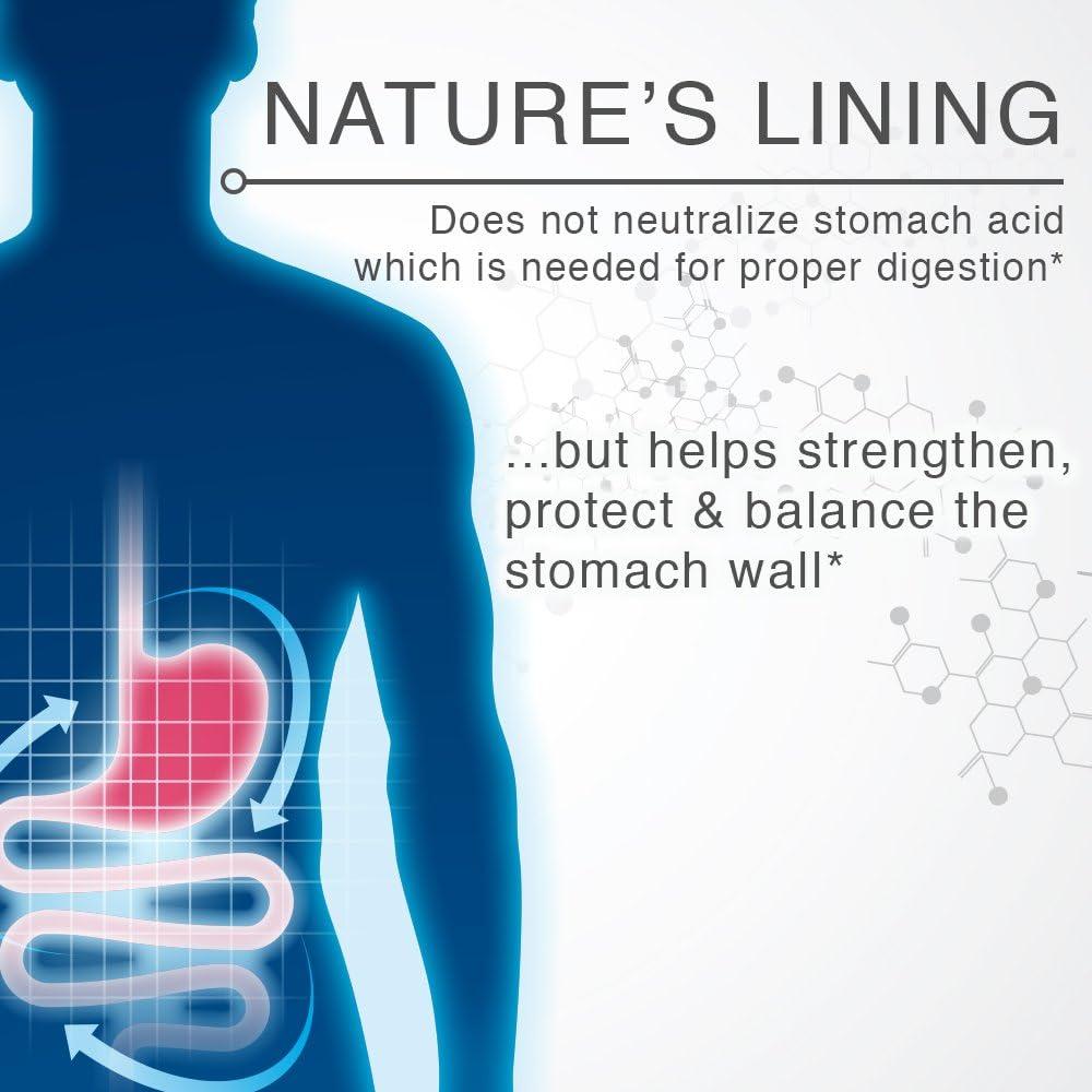 Lane Innovative Nature's Lining Chewable Tablets - Long Lasting Stomach ...