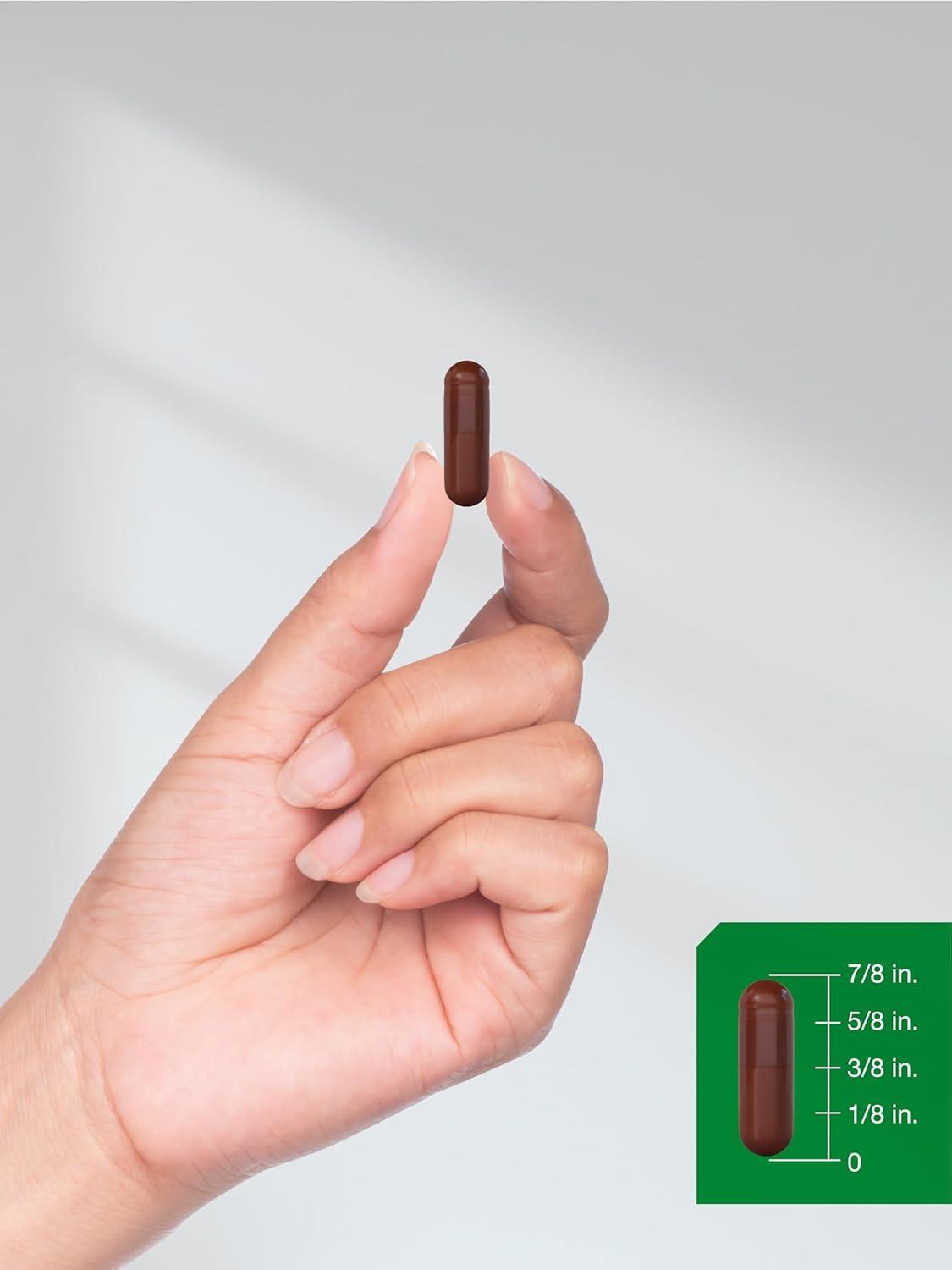Horb ach Pine Bark Extract | 6000 mg | 180 Capsules | Standardized to ...