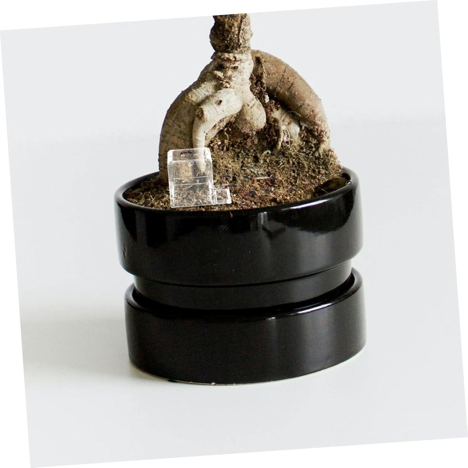 VANZACK Pet Water Feeder Small Ants Feeder Insect Water Feeder Ants ...