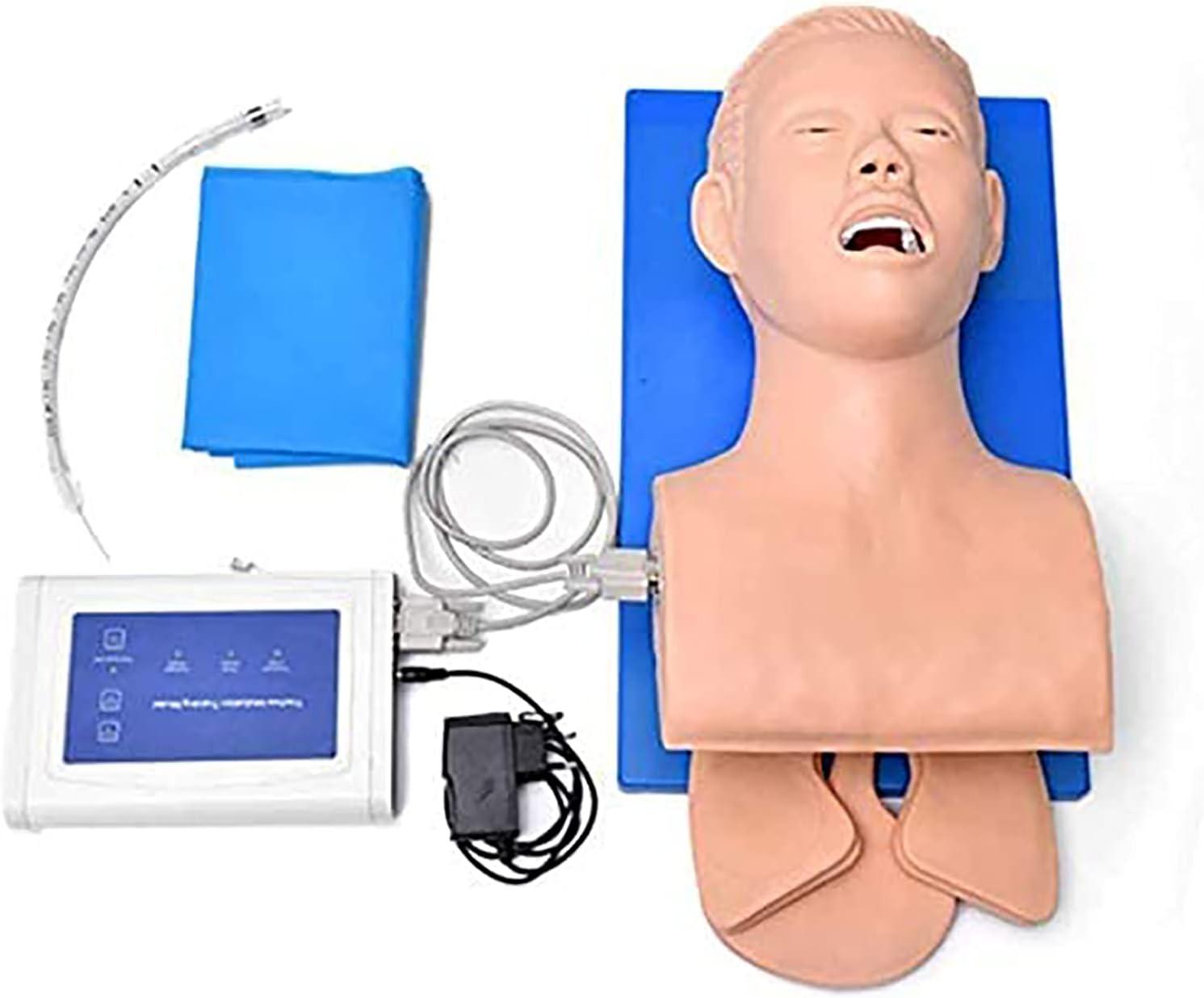 Buy Human Body Airway Management Trainer - PVC Intubation Teaching ...