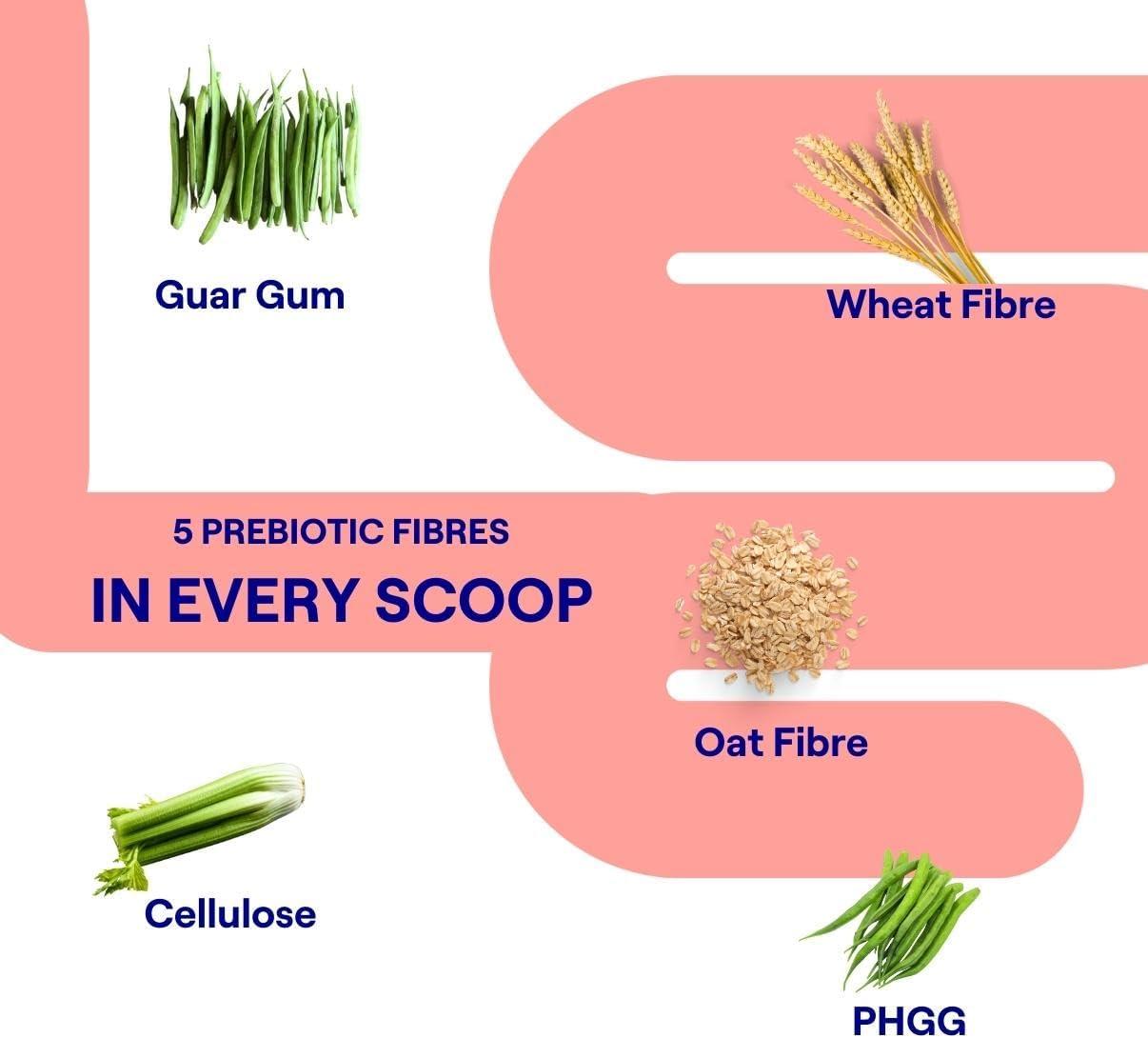 myota Gut Booster Prebiotic Fibre Supplement 300g - Supports Digestive ...