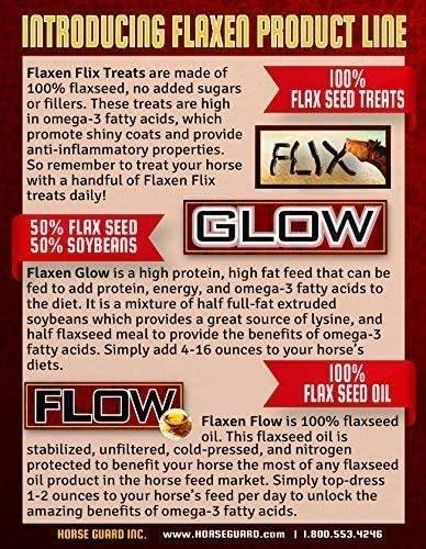 Flaxen Flow 3 L: 100% Flax Seed Oil with Omega-3 & Omega-6 Fatty Acids ...
