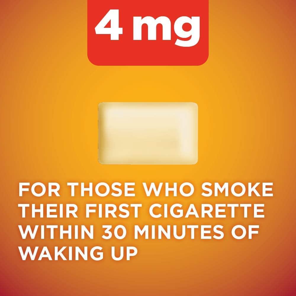 Amazon Basic Care Nicotine Polacrilex Gum 4mg - Cinnamon Flavor 160ct