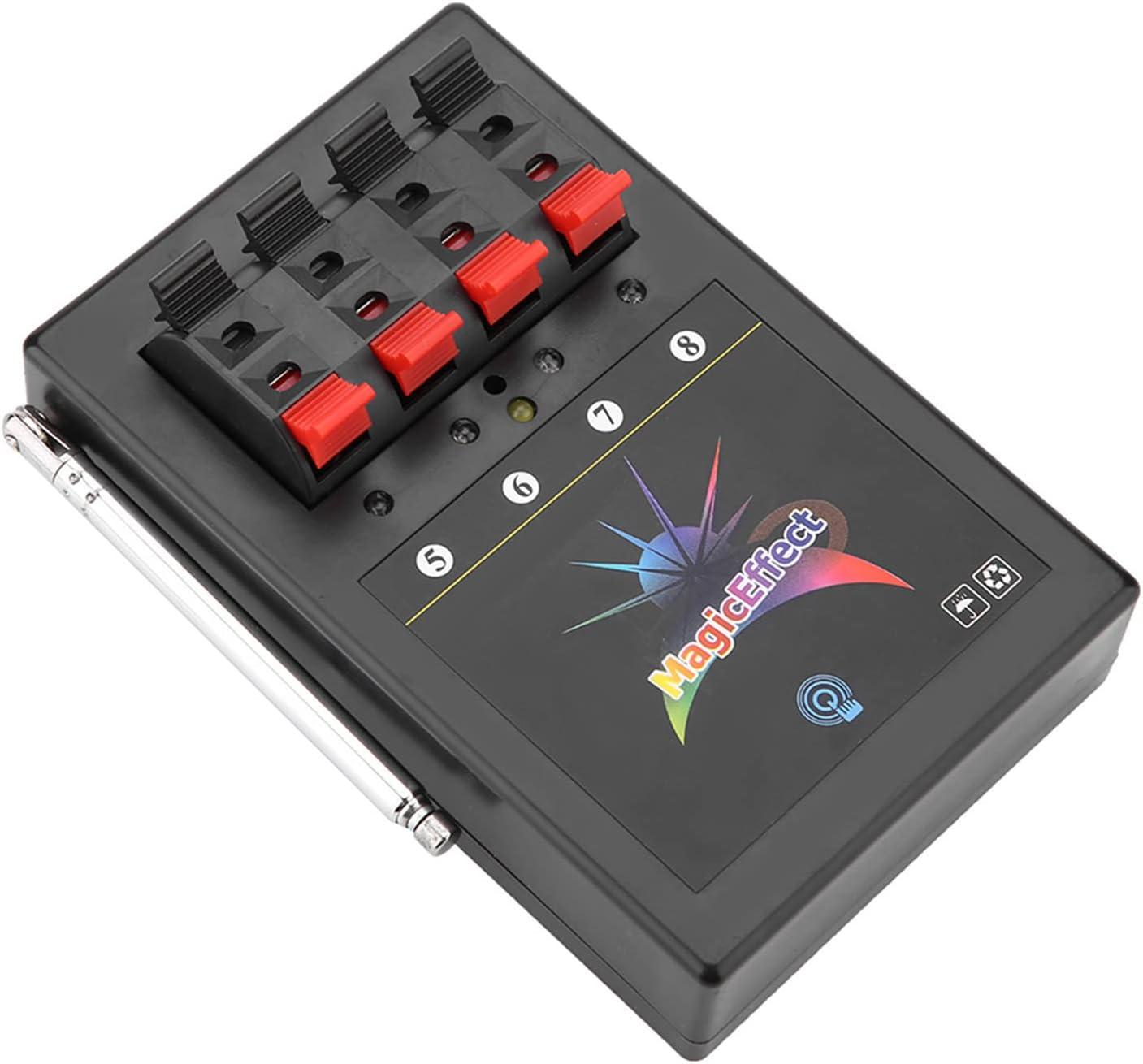 LIZEALUCKY Professional 12 Channel Wireless Fireworks Firing System ...