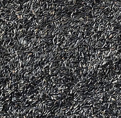 NIGER NYGER SEED 5kg High Energy High Protein Premium Quality All Year ...