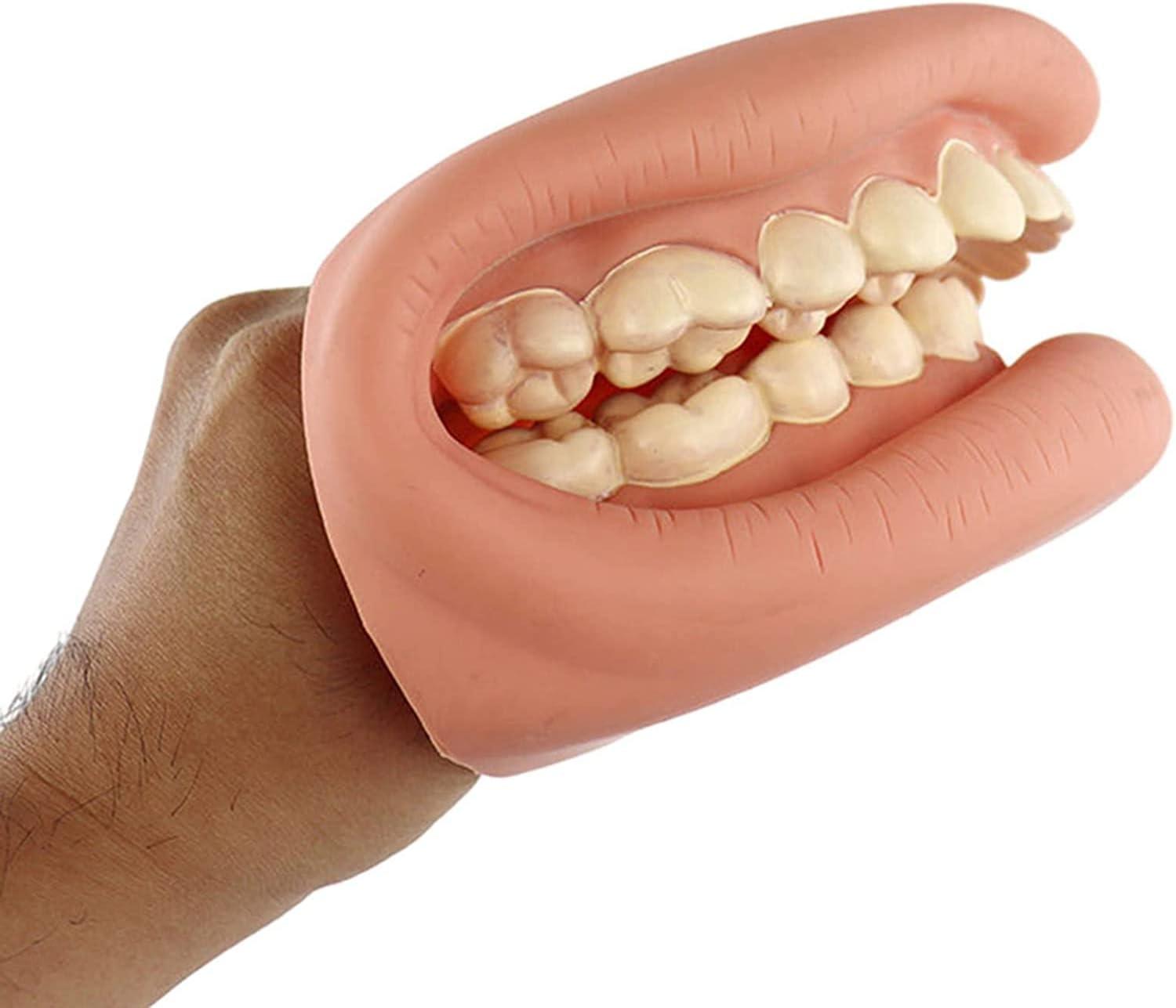 Uigjiog Junction Oral Hygiene Model - Portable Teaching Tool for ...