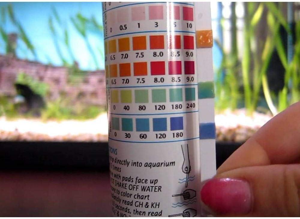 API Freshwater Master Test Kit Kit includes laminated color card 4 test ...