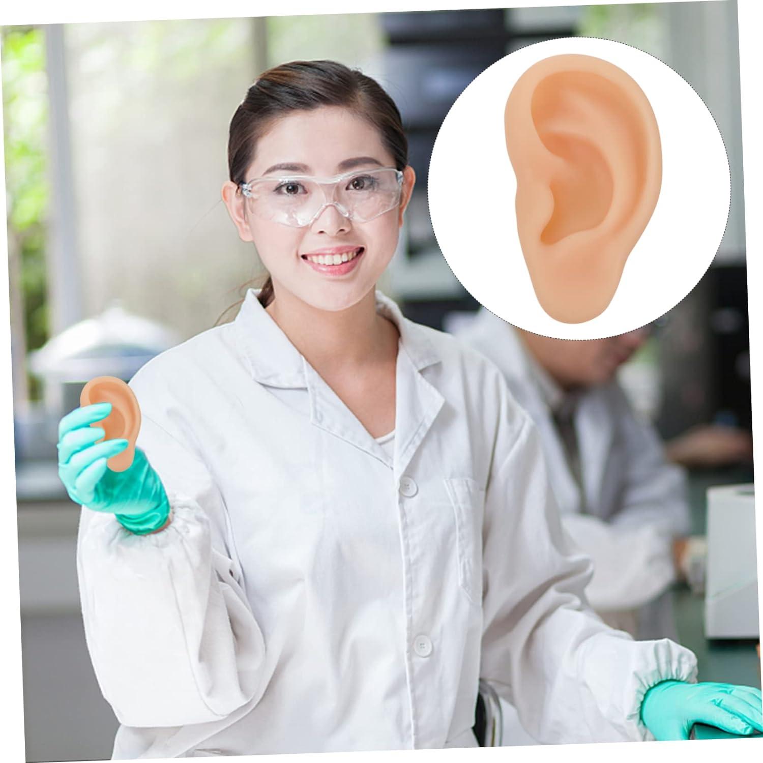 Silicone Ear Model - 3D Major Cyborg Presentation Tool for Ear Training ...